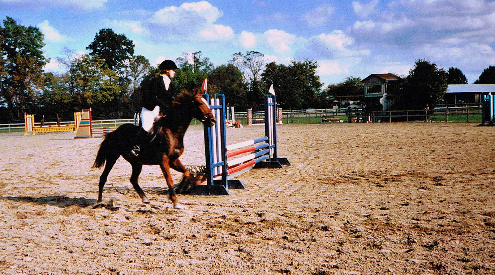 Hand Gallop: March 2014