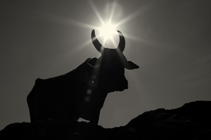 ARABIA PRE ISLAMIC HISTORY : Who is Almaqah