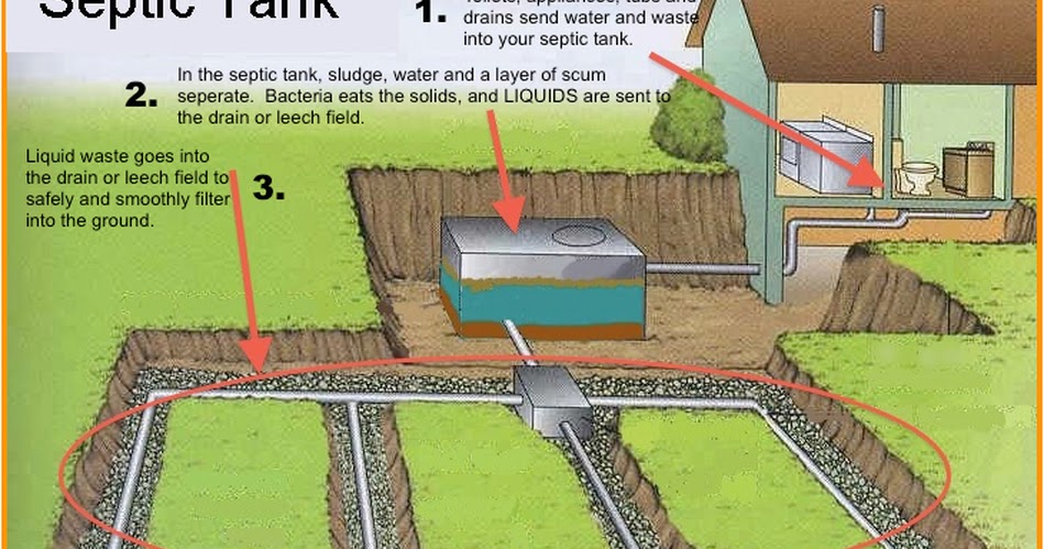 Septic Tank Problems