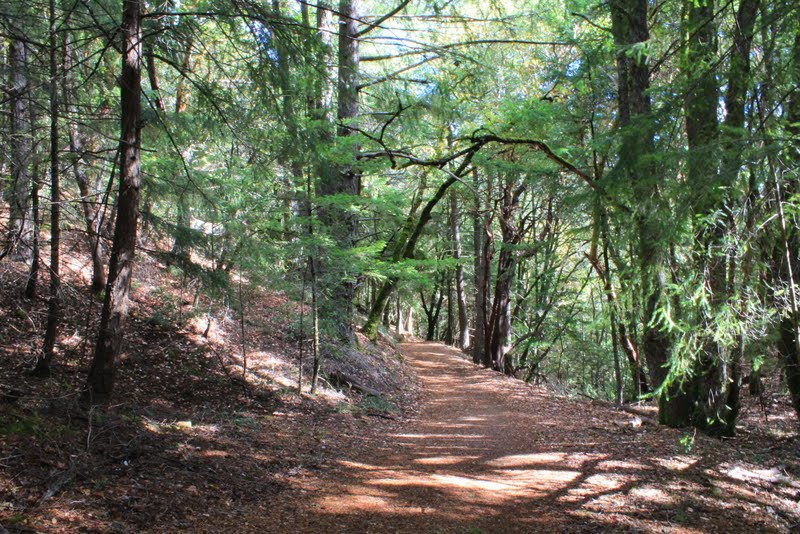 Eye On The View: Sanborn County Park II - Summit Rock Loop Trail