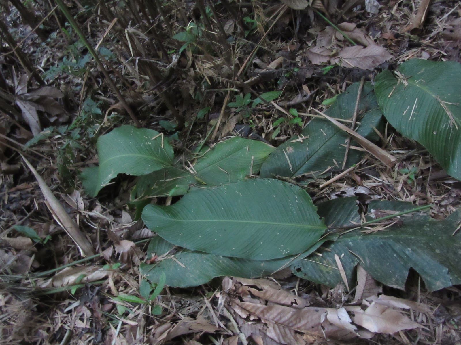 The Overseas Adventures of Annie and Steven Berger - 2017: 10/30 ...