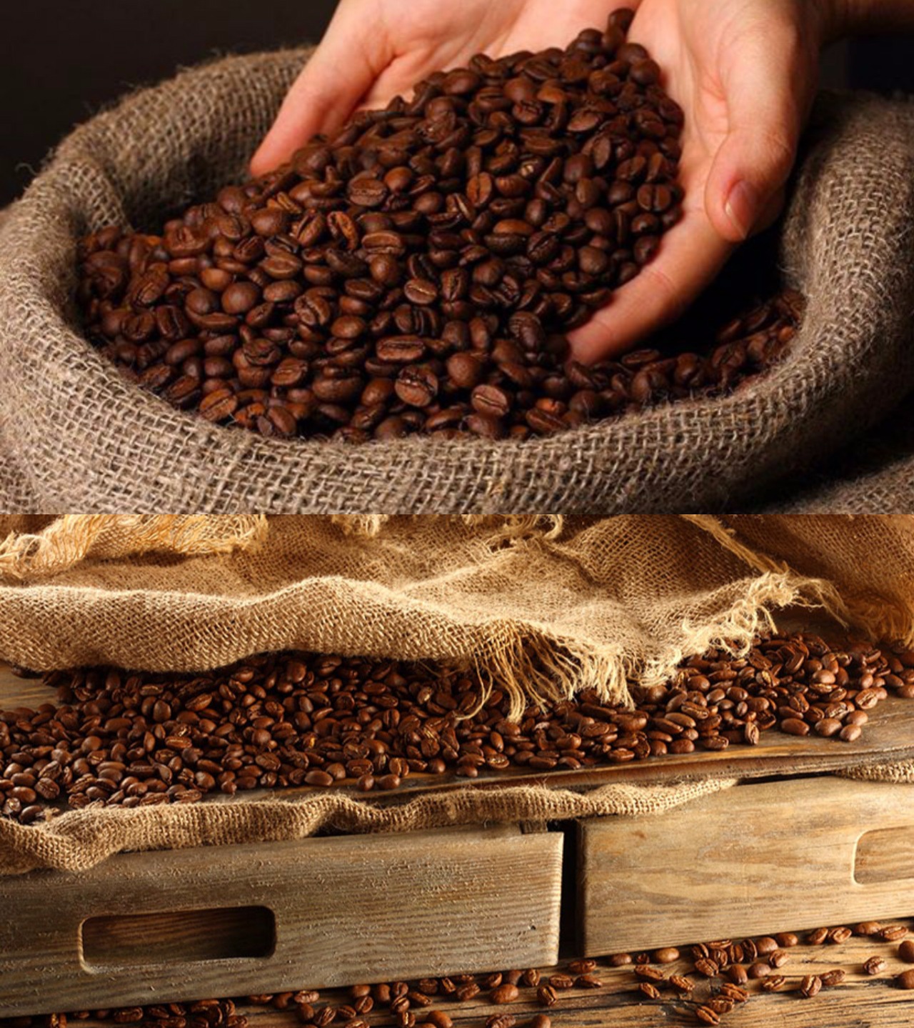 Bean and Leaf - kafa i čaj: KAFA ARABIKA