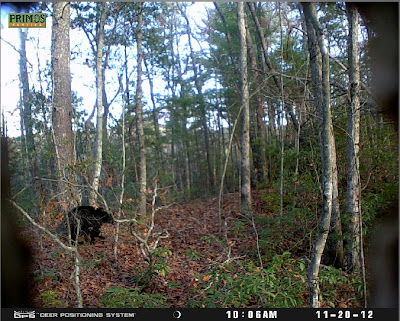 The Bigfoot Field Journal: "Plot Watcher" Camera Set Up Near Bigfoot ...