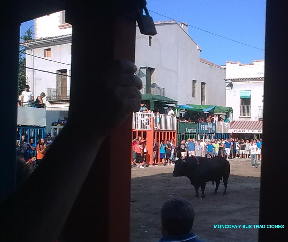 MONCOFA Y SUS TRADICIONES: Los toros desde la barrera. "Se terminan las ...