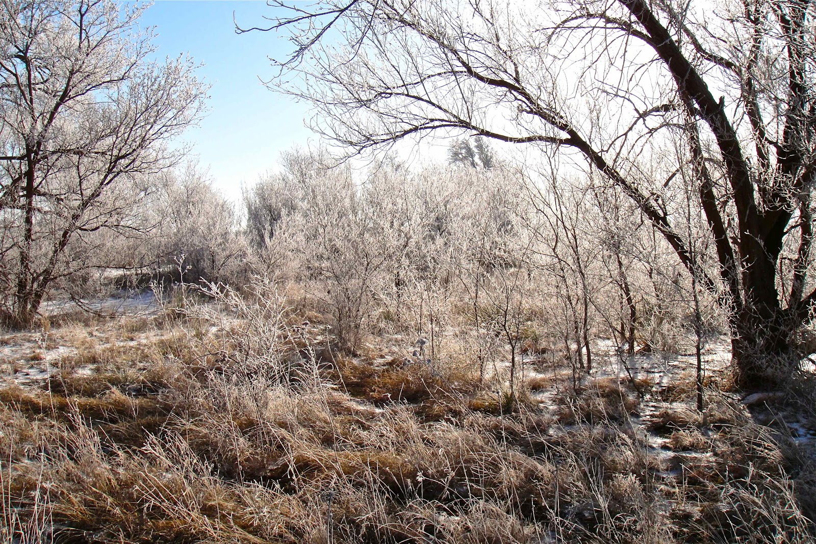 Poetry Of Spirit And Light: Air Hoar And Snow Melt Poetry