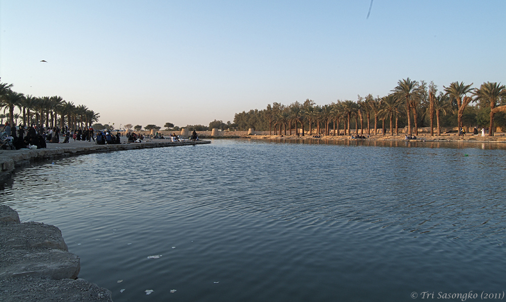 My mini photo gallery: Wadi Hanifa Wetlands