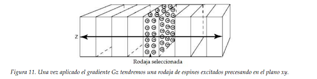Método de análisis: Resonancia Magnética: Campo magnético en los ...