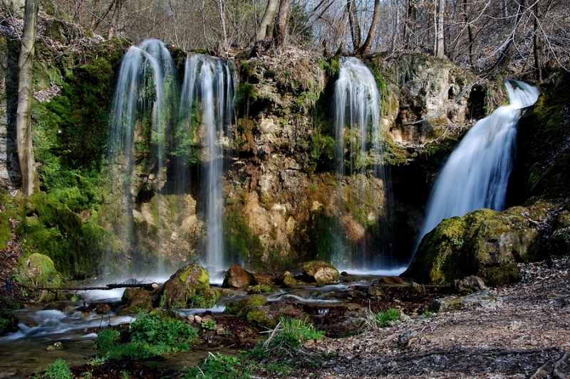 Klub slovenských turistov Elán Banská Bystrica: Info: Badínsky prales ...