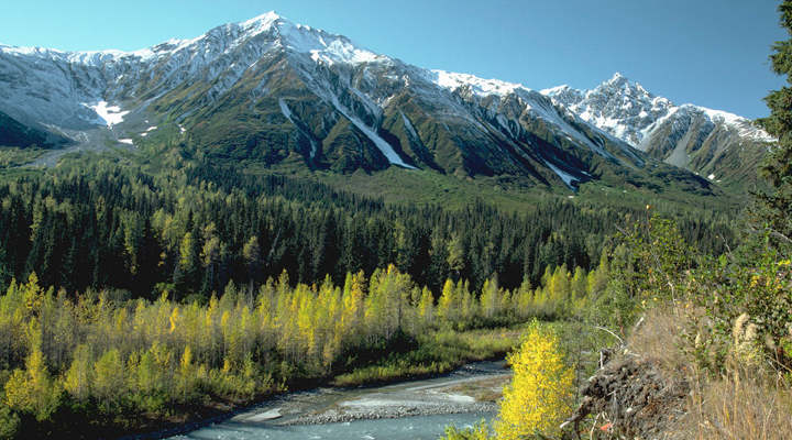 Boreal Forest Description and Threats