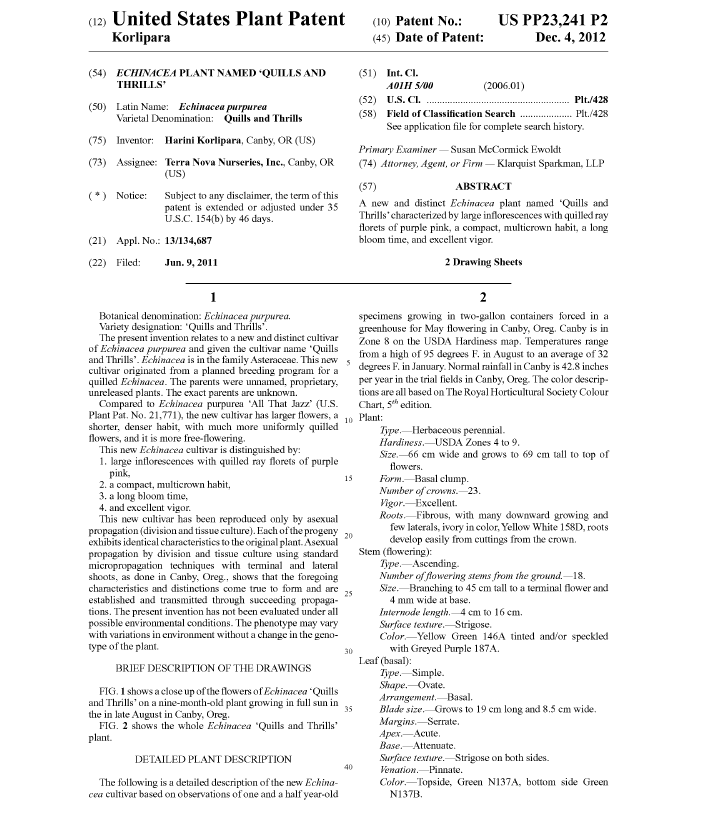 Patent Data Analytics
