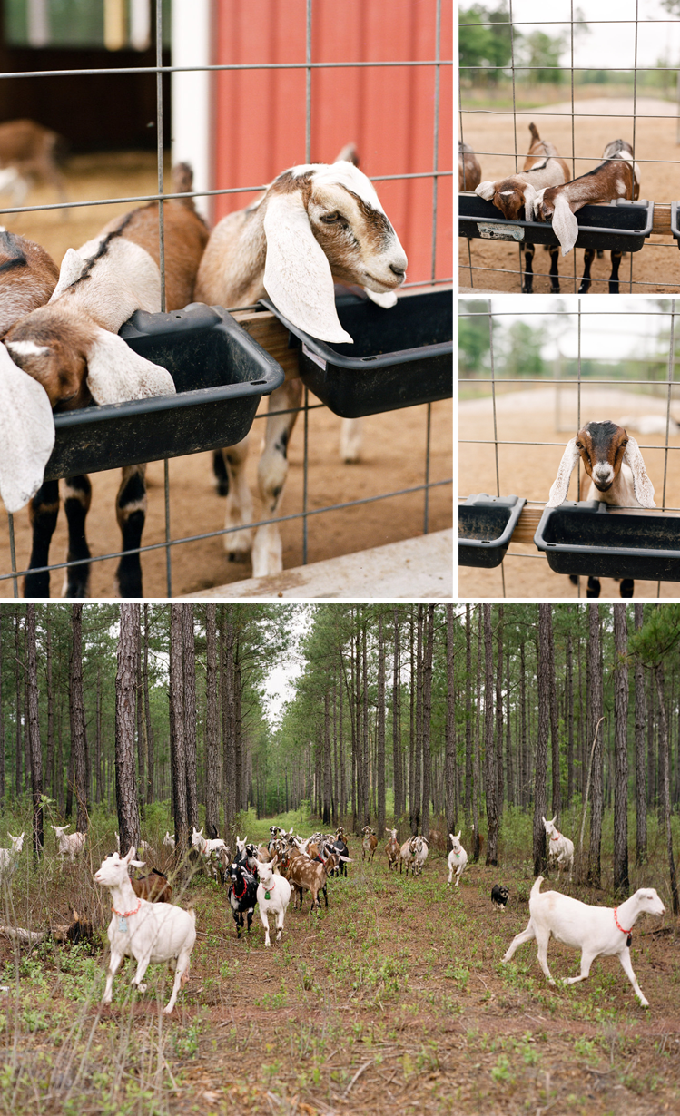 Savannah Wedding Planning and Bridal Boutique: Ivory and Beau: STYLED ...