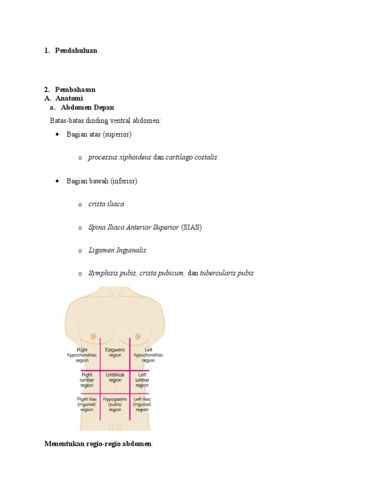 regio abdomen - wood scribd indo