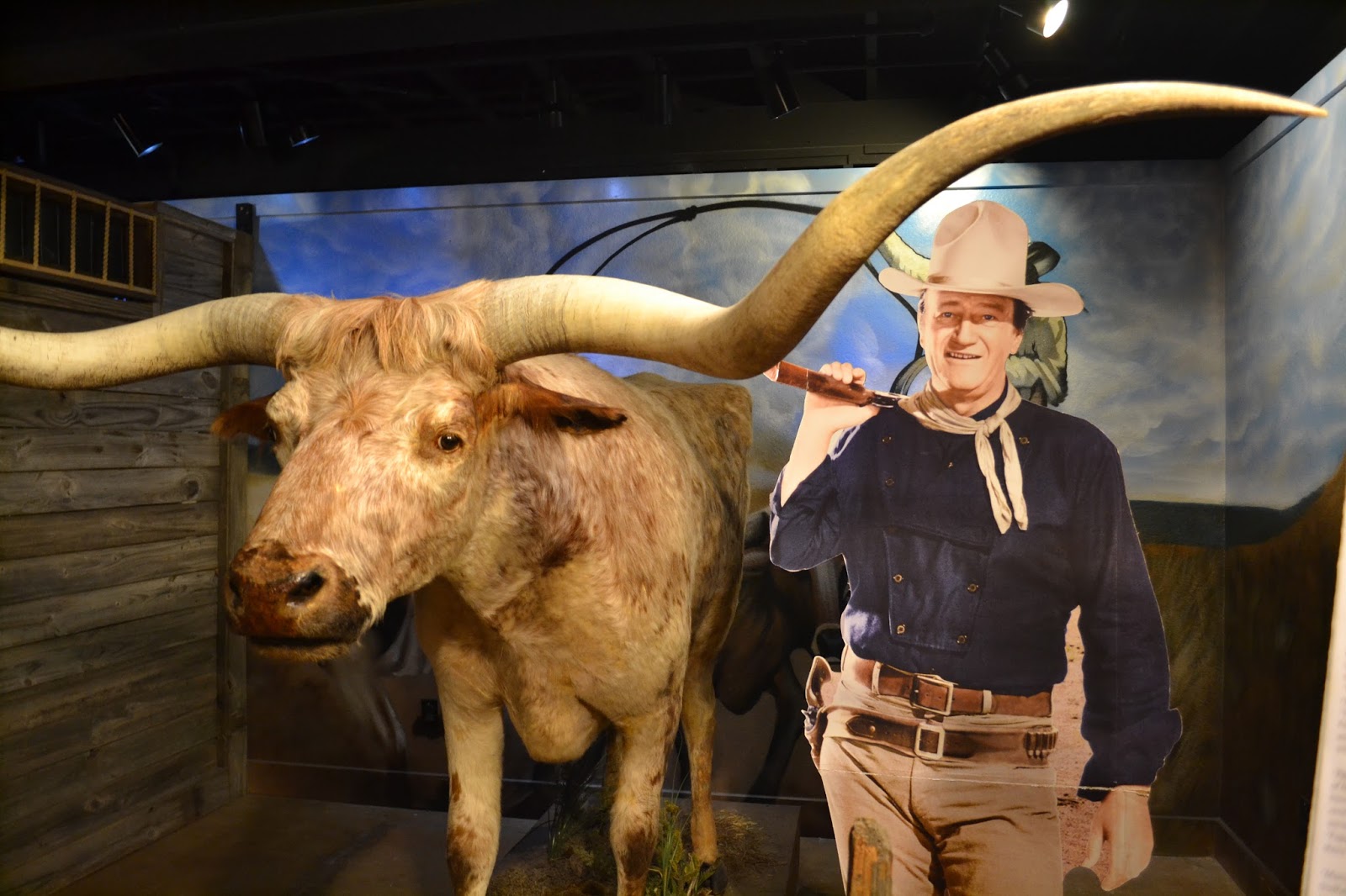 Visit Bay Area Houston: Butler Longhorn Museum