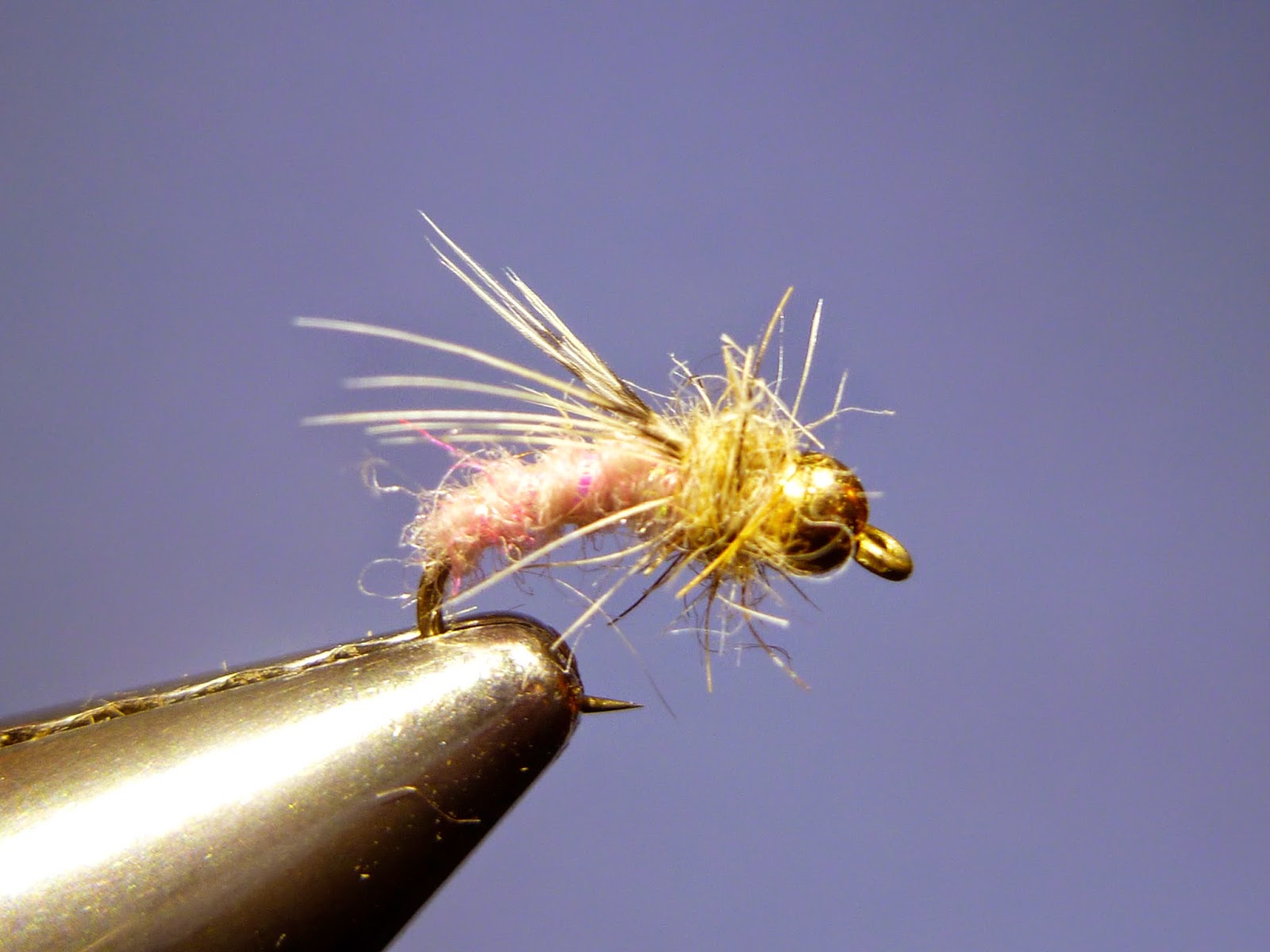 PFS Pink Caddis Larva (Glossossoma Larva)