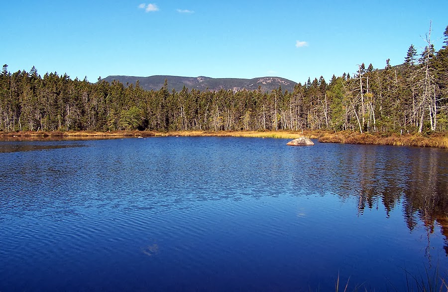 Hiking in the White Mountains: Zealand Notch to Mount Carrigain Trail Run