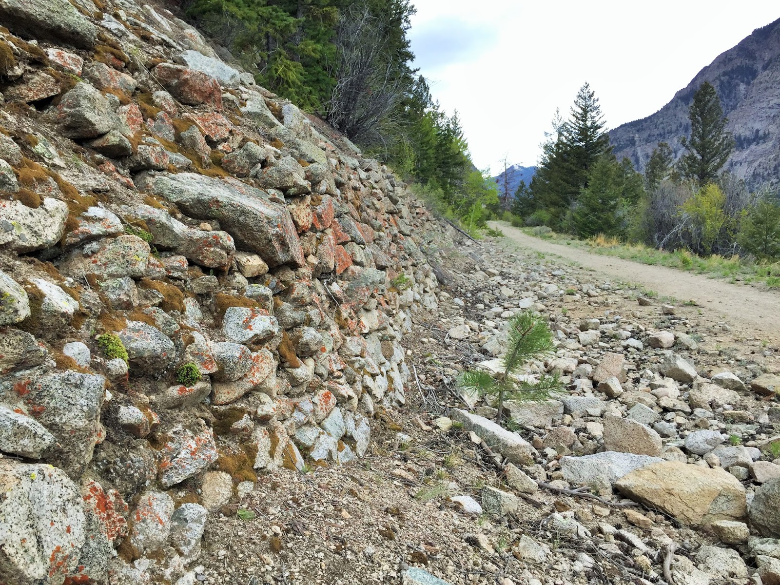Down the Road: Chalk Canyon and the Colorado Trail