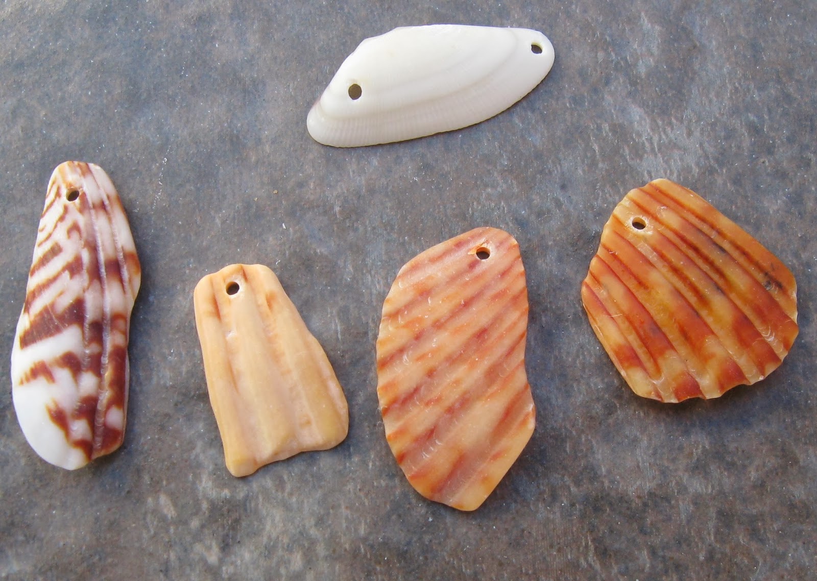 Silver Parrot: She Drills Seashells By the Seashore