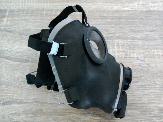 Mr. Aphoristic: Swiss SM-67 Gas Mask