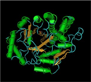 Dermapixel: abril 2011