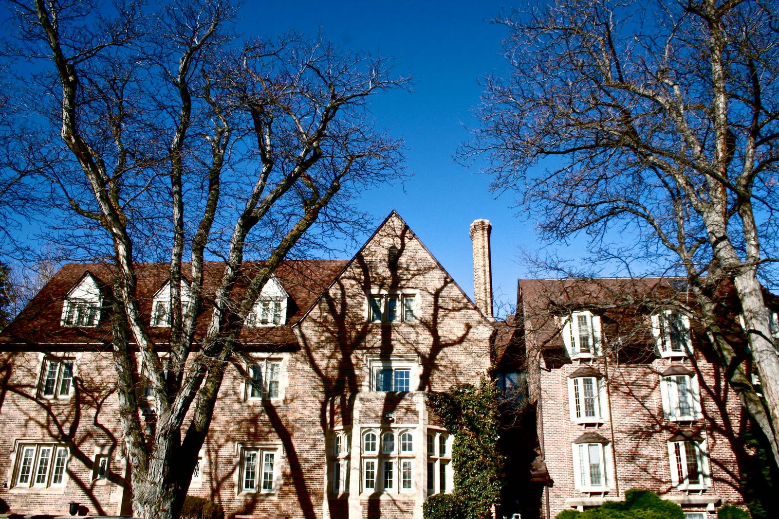 Delta Delta Delta: Move In - Back to Boulder