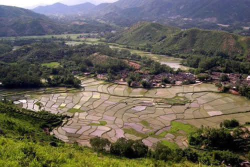 Top Landscape: Landscape Ecology