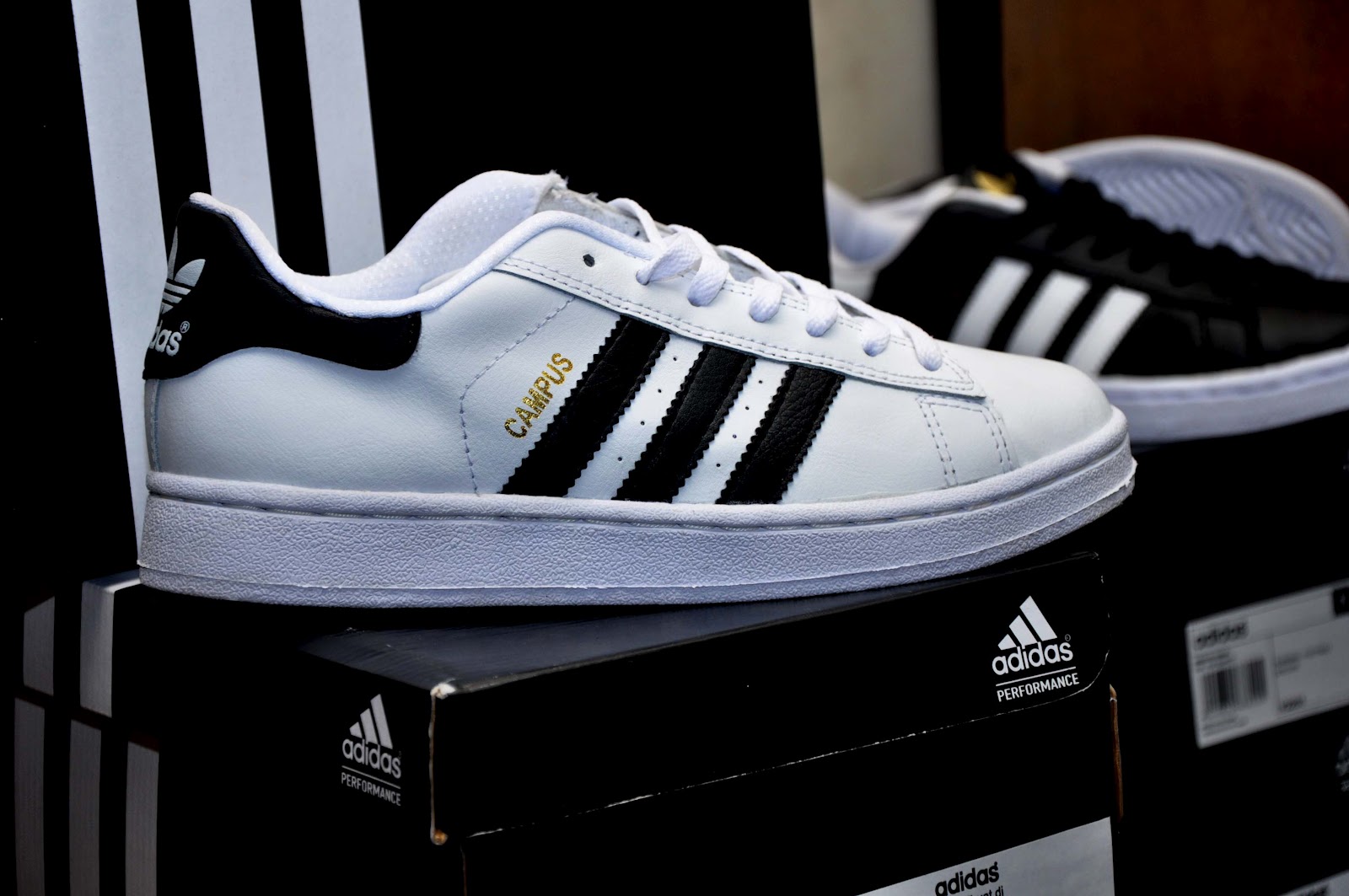 Dealer Sepatu Murah: Adidas Campus