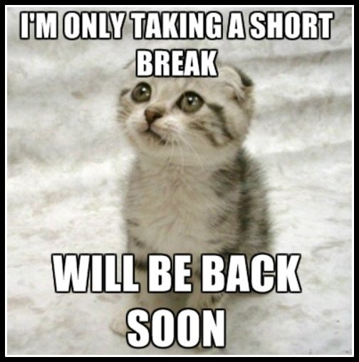 My Little Corner of the World: Break Time!