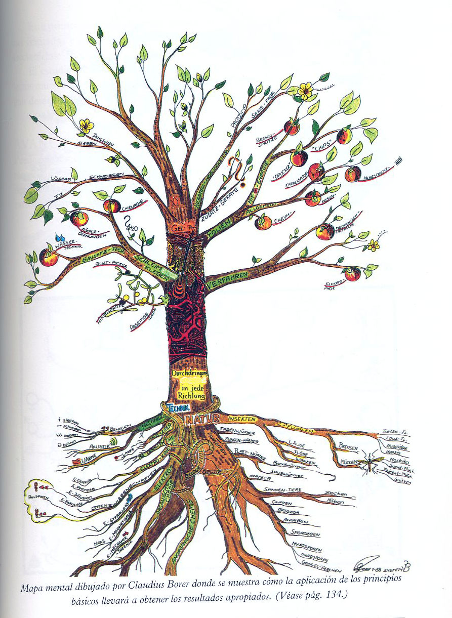 Lyons Family Tree: Mapas Mentales