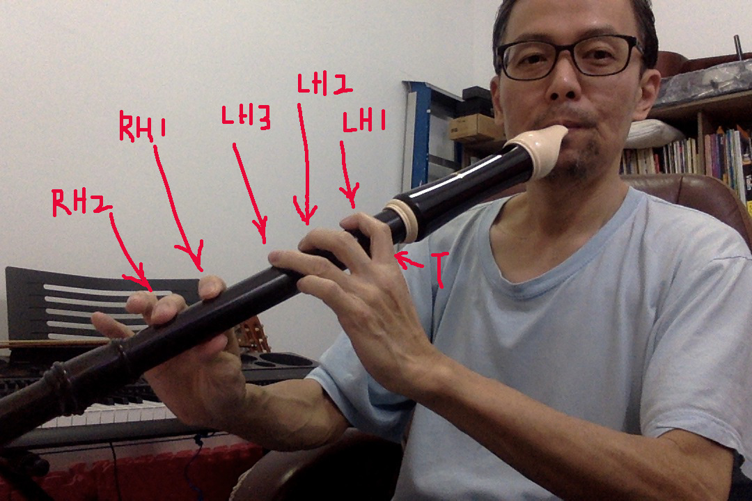 Learning Tenor Recorder: 8. Low E and Little Brown Jug