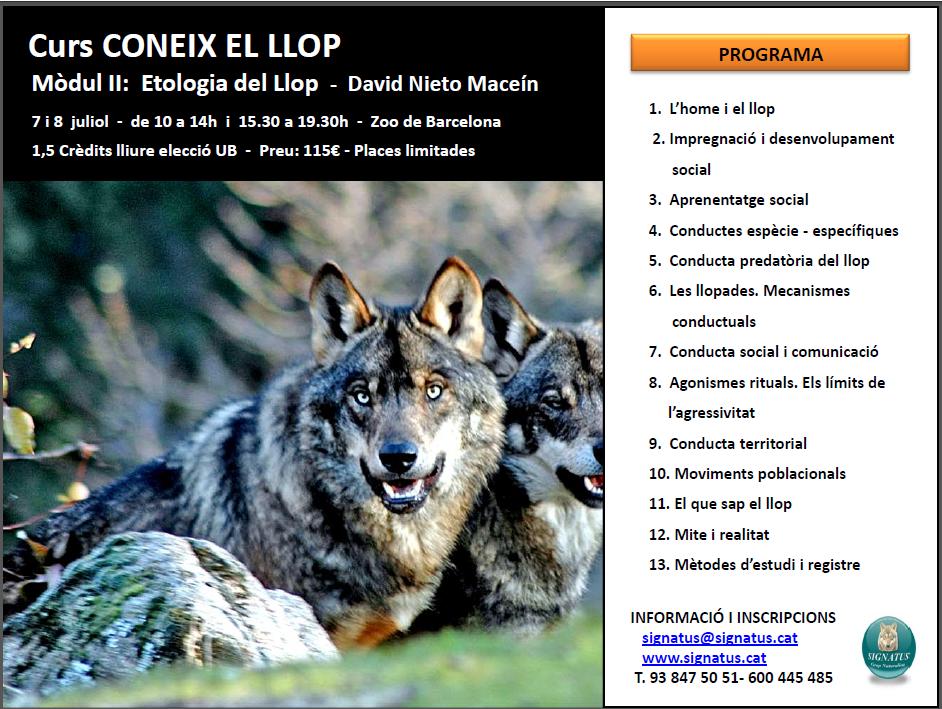 Blog del Màrius Domingo, Ca la Gallineta: El llop!