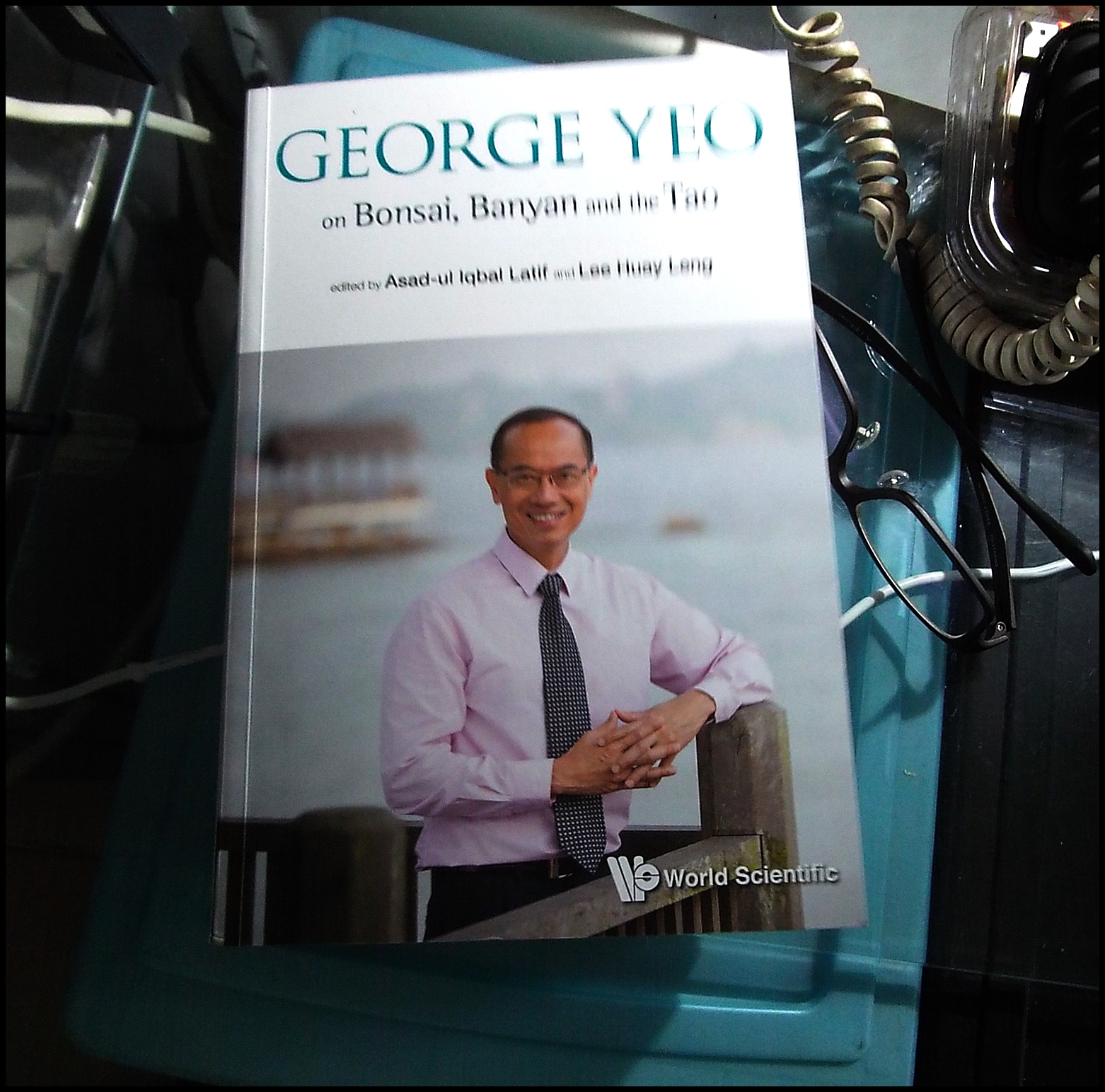 Evergreen Bamboo: CONNECTING WITH GEORGE YEO'S BOOK