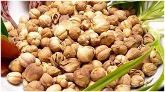 Kapol Laga Untuk Kesehatan Dan Untuk Pengobatan - HIDUP SEHAT COM