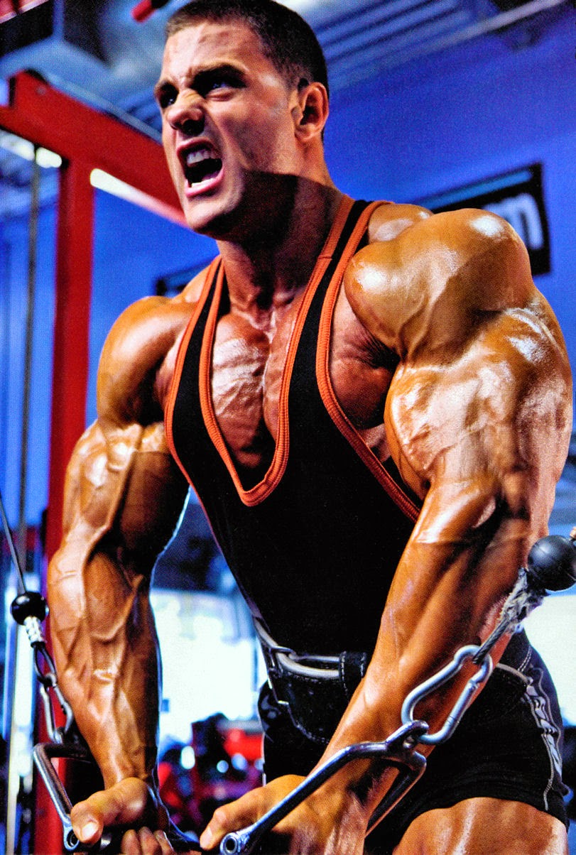 the beauty of male muscle: Evan