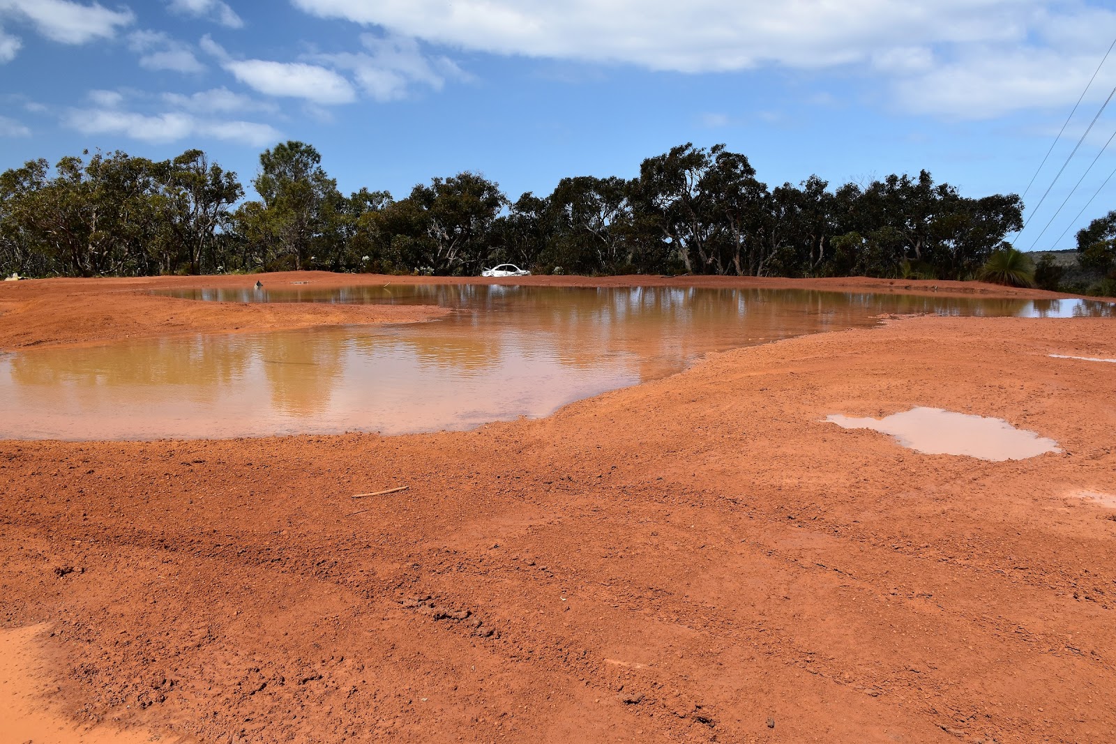 Goin' Feral One Day At A Time: Anglesea Heath Circuit - September 2017