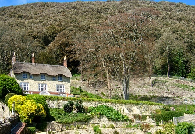 Lin's Isle of Wight Walking Blog: Walk 3 The Bonchurch Walk - 2.5 miles