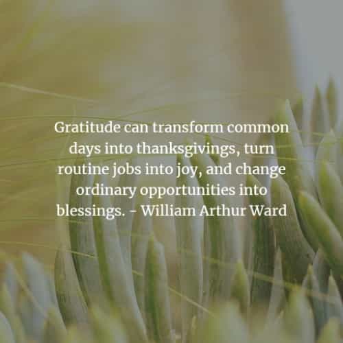 63 Famous quotes on gratitude and thankfulness