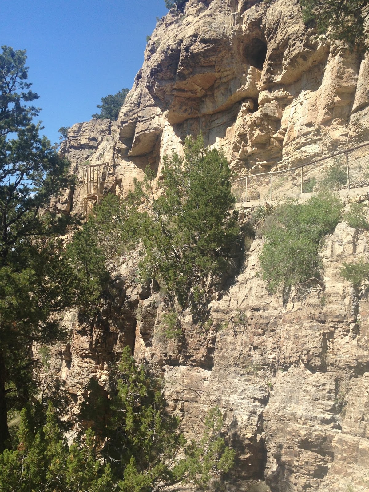 Southern New Mexico Explorer: Sandia Cave, Las Huertas Picnic Area ...