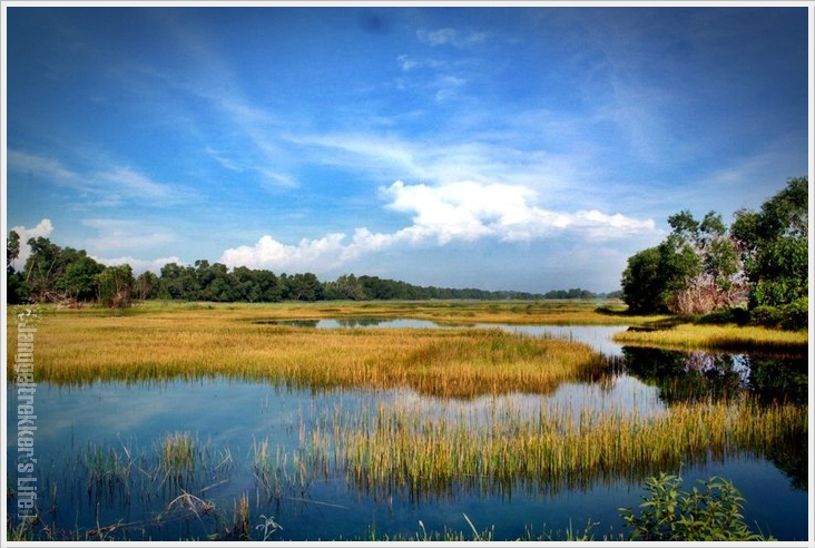 Kunjungan Lagi ke Paya Indah Wetland, Dengkil 2013!