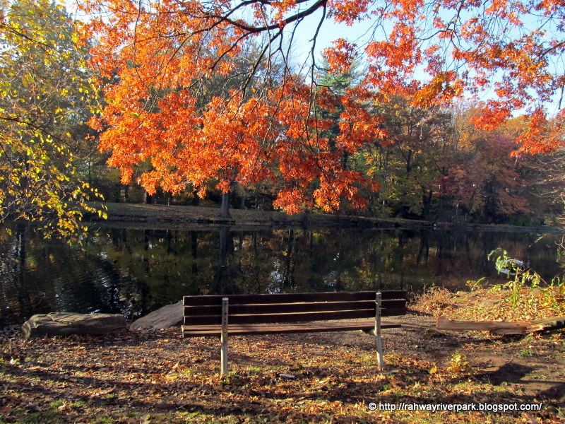 4 seasons in the life of Rahway River Park: The Park Bench
