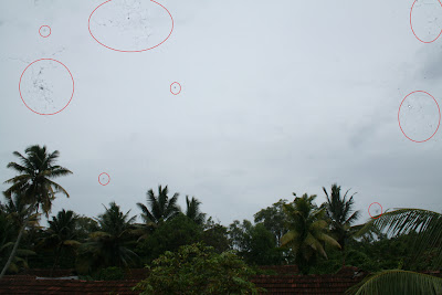 School Of Digital Photography: How to Prevent Dust on Your DSLR Camera ...