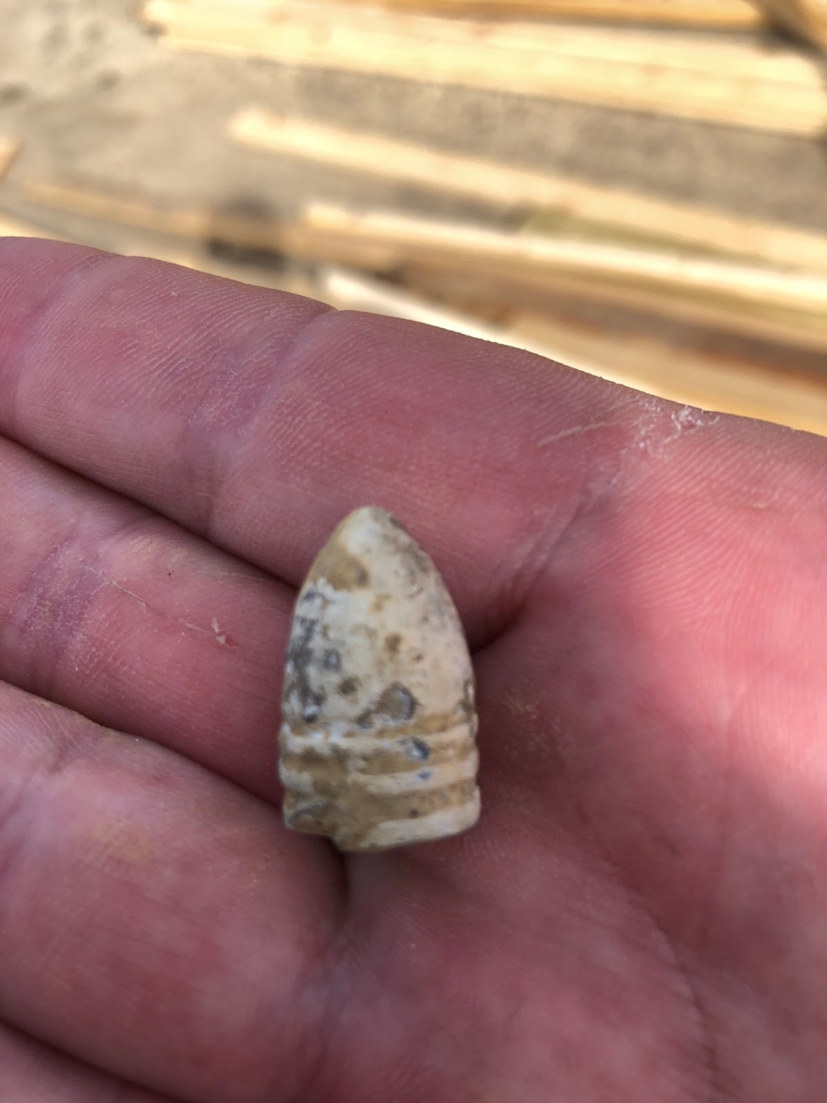 The Civil War Picket: The bullet, ball field and Baton Rouge: Battle ...