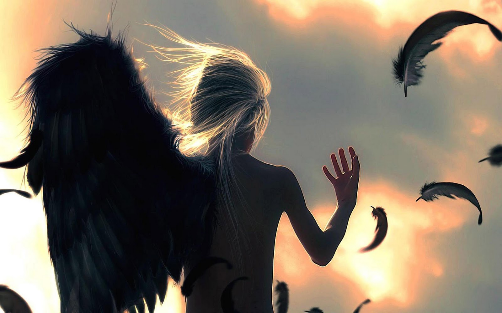 Angle Wallpapers | Latest Updates About Technology Fashion ...