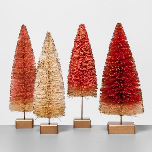 Polka-Dotty Place: Everything You Need to Know About Bottle Brush Trees