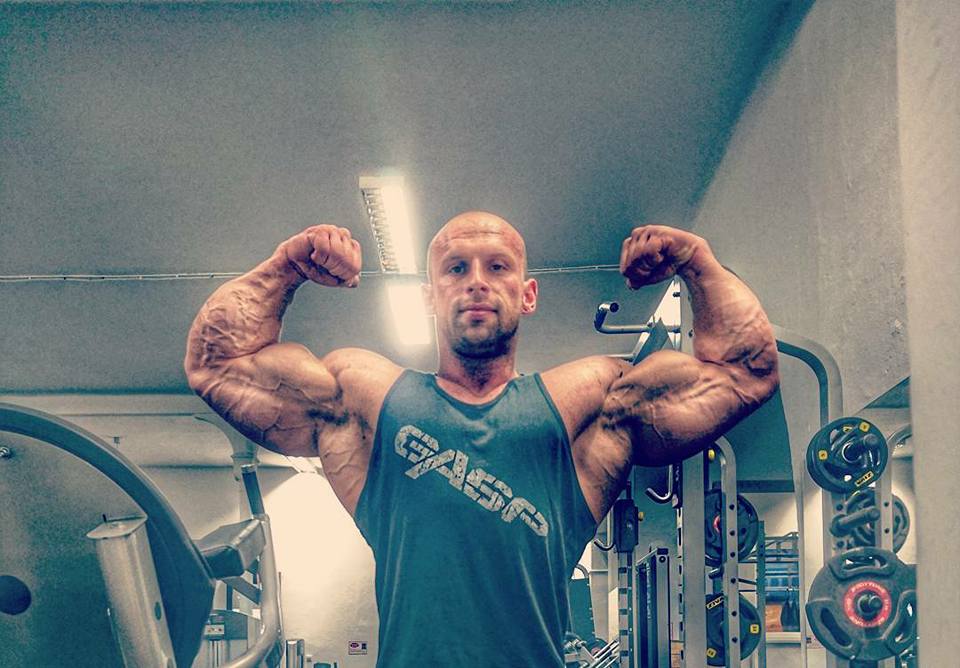 Worldwide Bodybuilders: Slovakian muscle horse Vladimir Holota