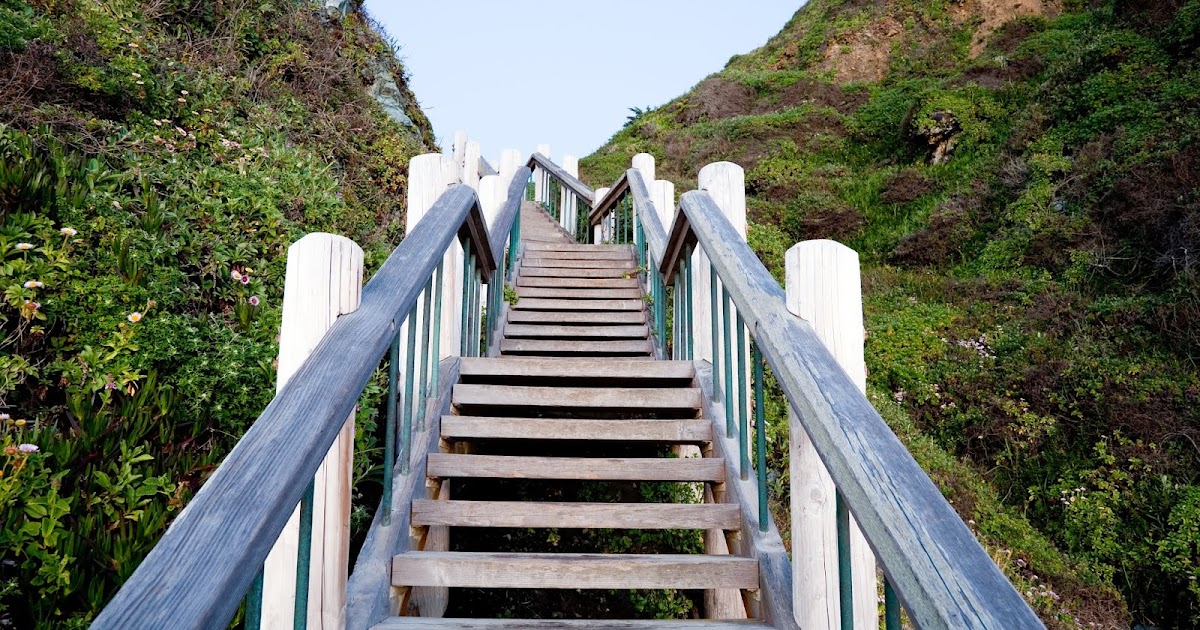 Abby's World: Stair Training 101