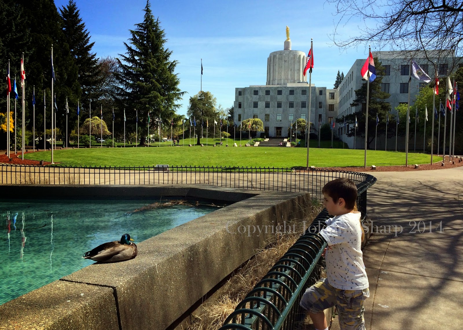 Was This Really a Sharp Idea?: Oregon State Capitol Building