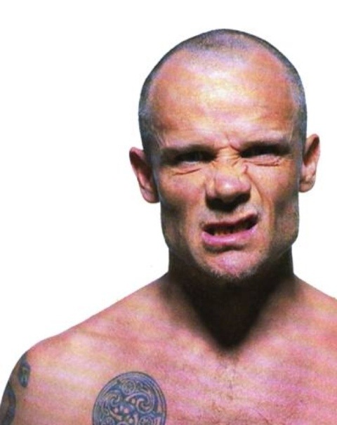 Offshore Winds: The Surfing Flea