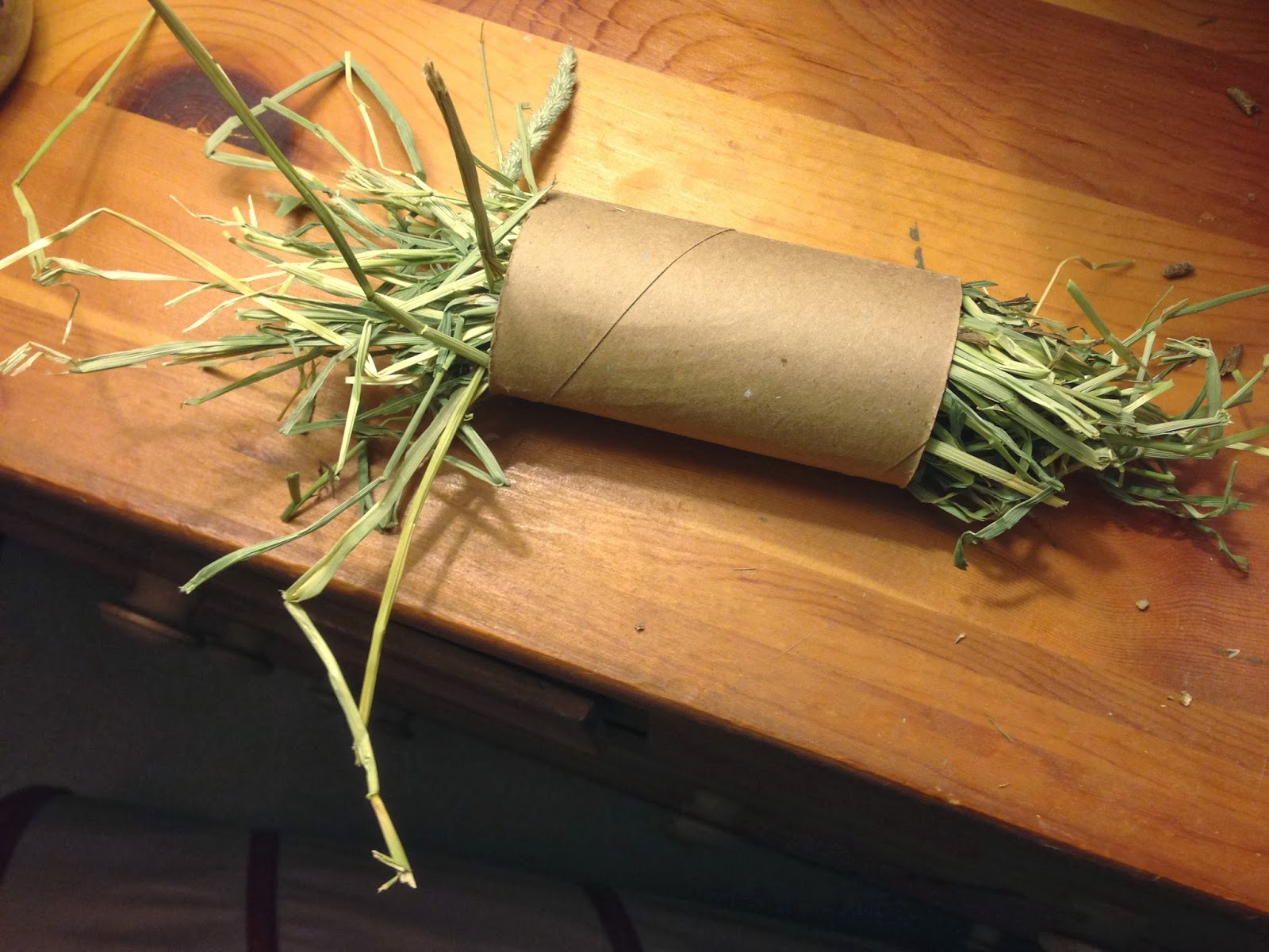 The Random Musings of a Busy Bunny Mom: The Toy Box