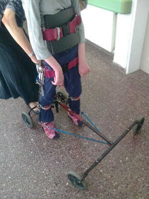 The Sound of the Silent: My daughter C meets the Hart Walker. Not very ...