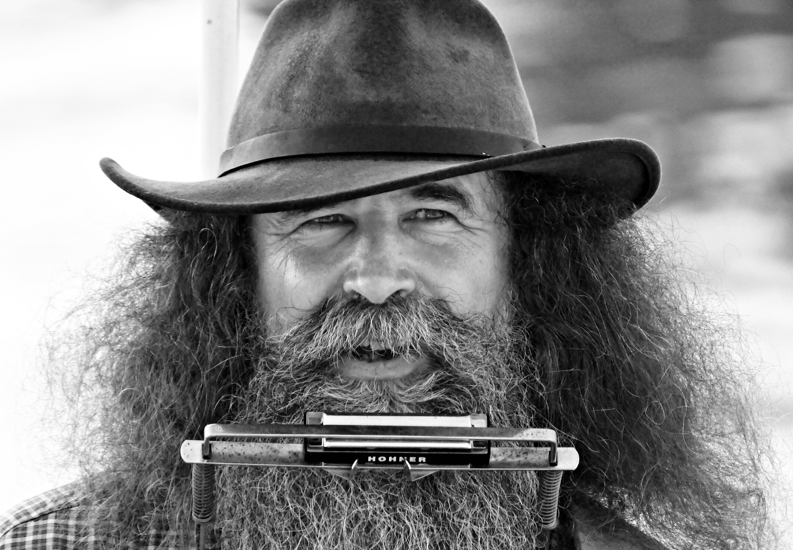 Victoria Daily Photo: One Man Band - Dave Harris